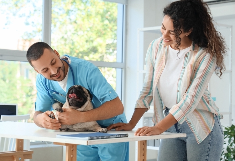 Breed-Specific Health Risks in Pets | What Owners Should Know