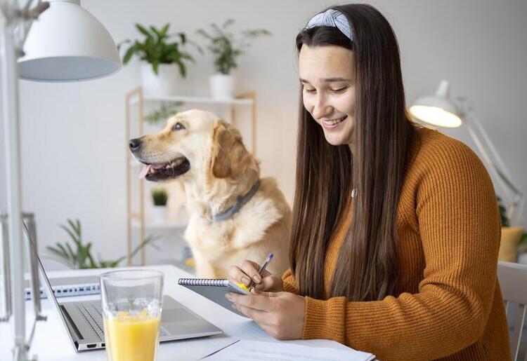 What Are The Types Of Pet Insurance