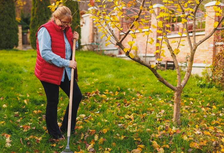 10 Essential Home Maintenance Tips For Your Fall Checklist
