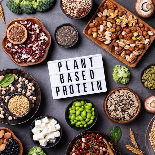 Top 10 Best Plant-Based Protein Sources