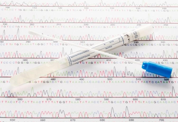 The Best Black Friday 2020 Deals for DNA Testing Kits