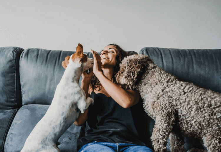 Best Pet Insurance for Multiple Pets