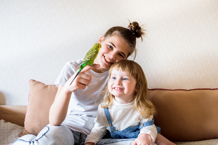 Your Guide to Exotic Pet Insurance | BestMoney.com