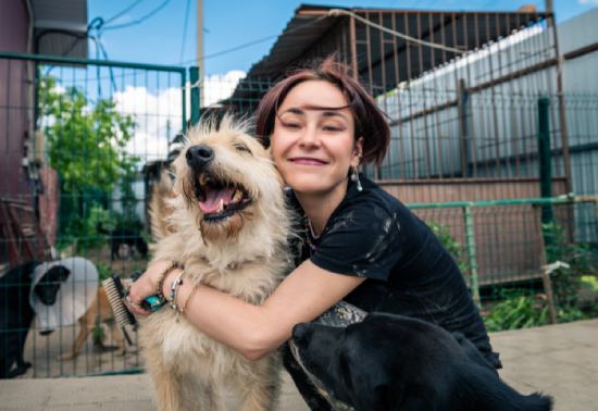 How to Get a Pet: Your Ultimate Guide to Adopting and Preparing